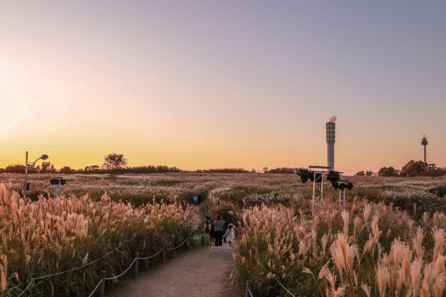 batch_IMG_3993 | AsiaYo Blog